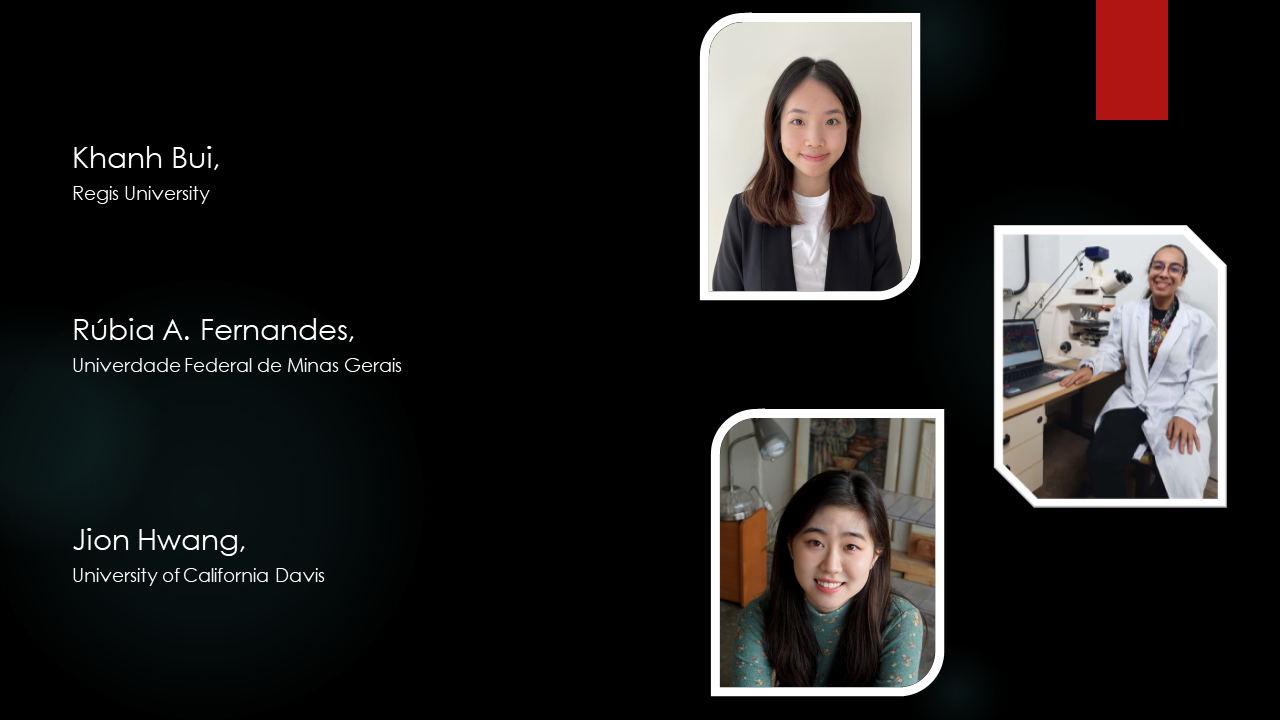 2023 Capstone Awardees